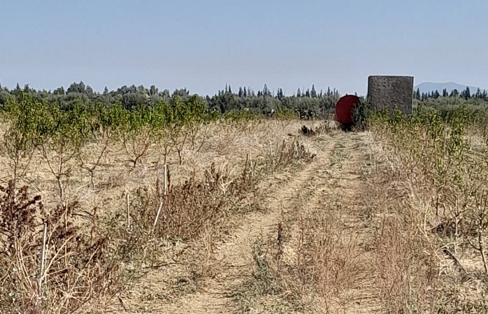 Domaines De Letat Récupération De 71 Hectares à Ben Arous